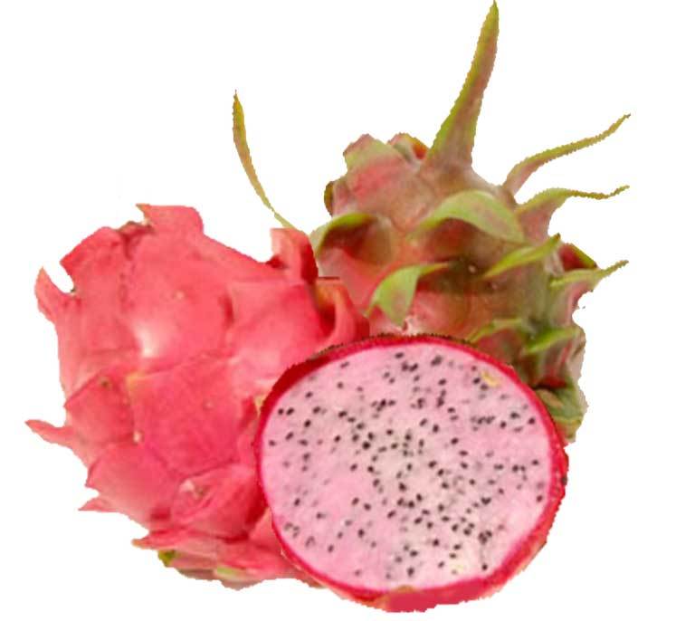 Benefits of Red Dragon Fruit for our Health | Daily Health Tips and ...