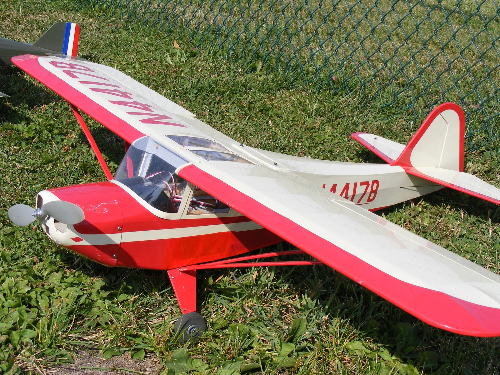 RC Flying Models: Small Stuff Electric and CO2 Powered