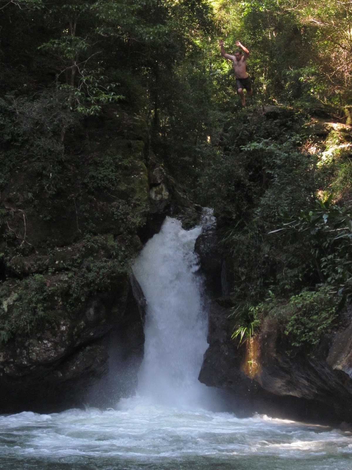 Bongbong's Adventures in Oz: Potoroo & Ellenborough Falls
