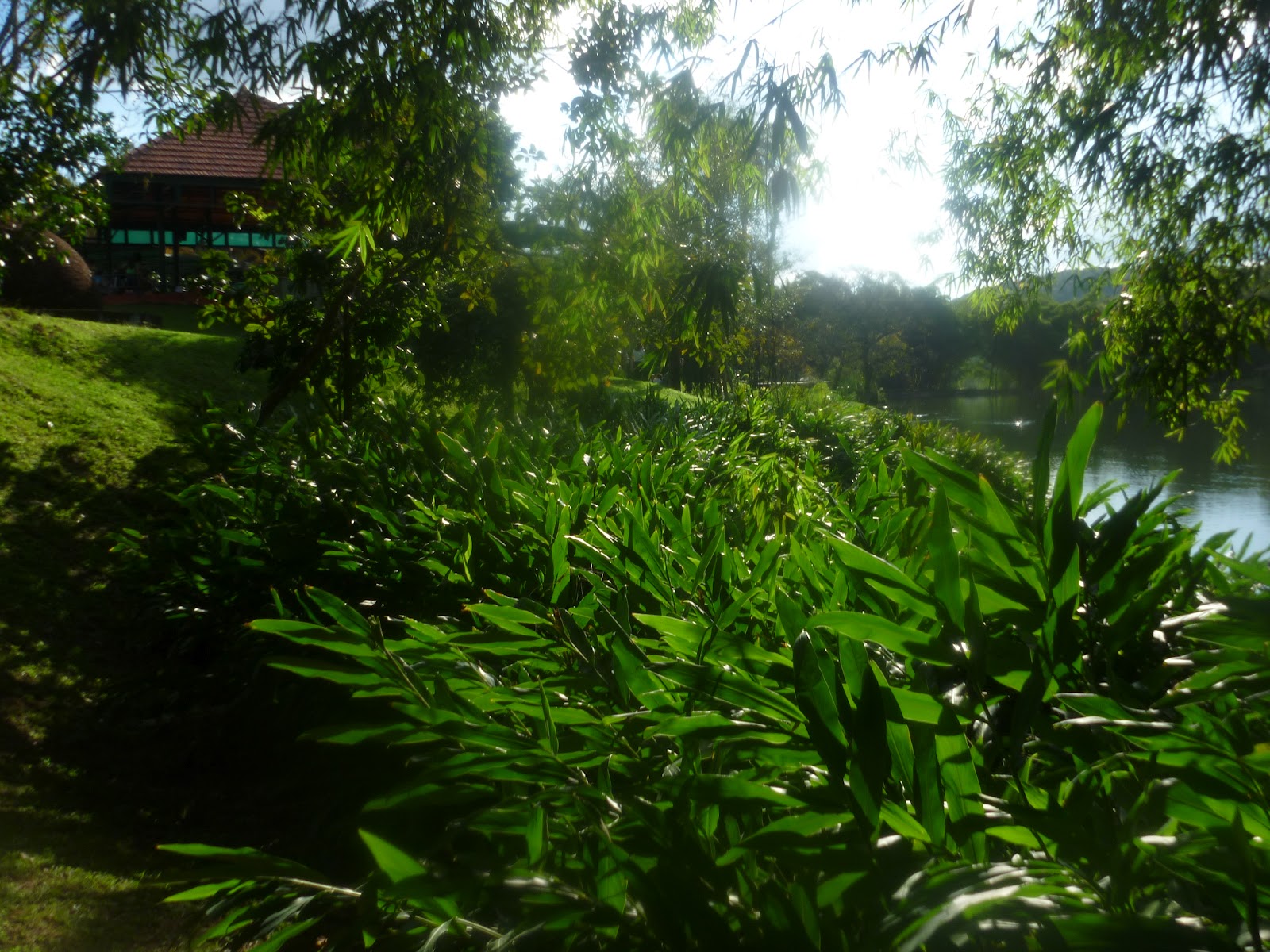 sitiopablo11: vale verde paisagens