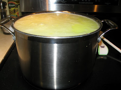 Homemade Liquid Laundry Detergent