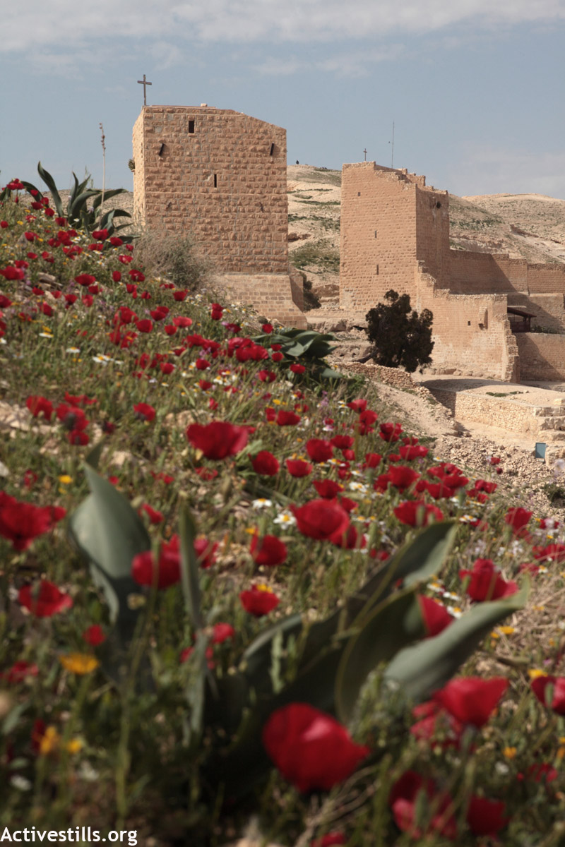 Chroniques de Palestine et d'ailleurs- Resistances, human rights and ...