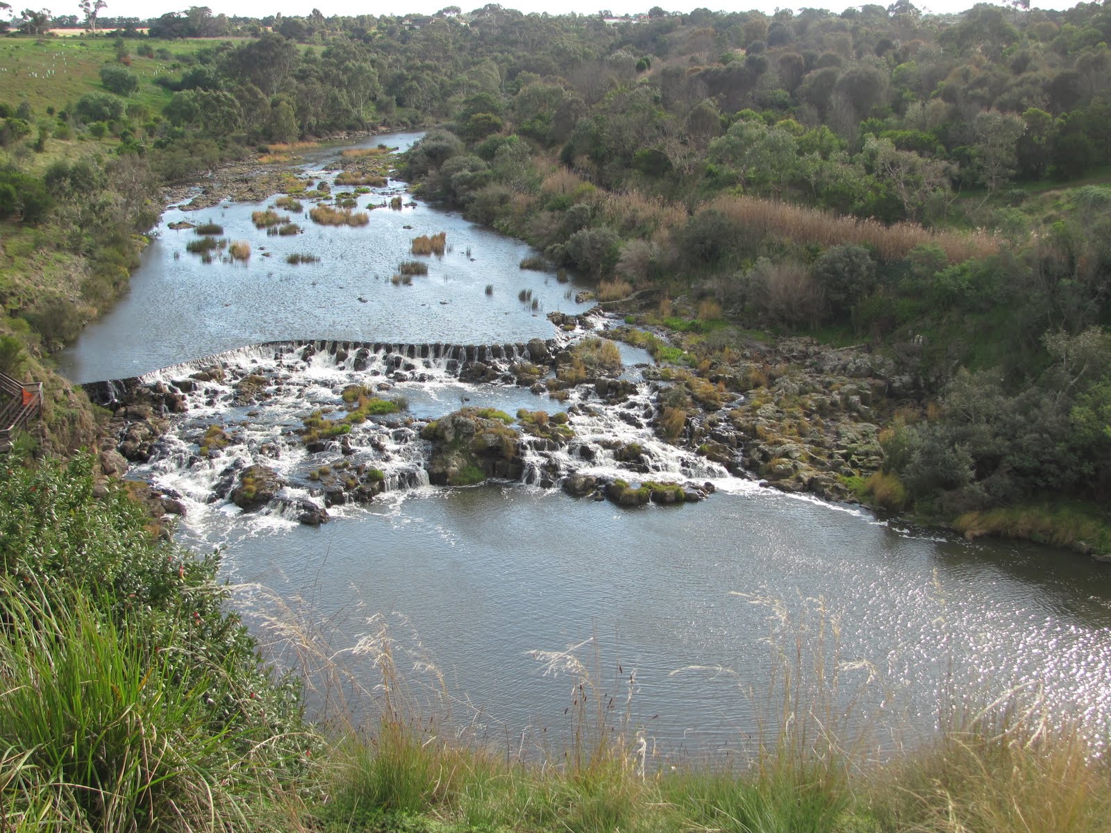 Barwon Blog: A Bunyip Aristocracy