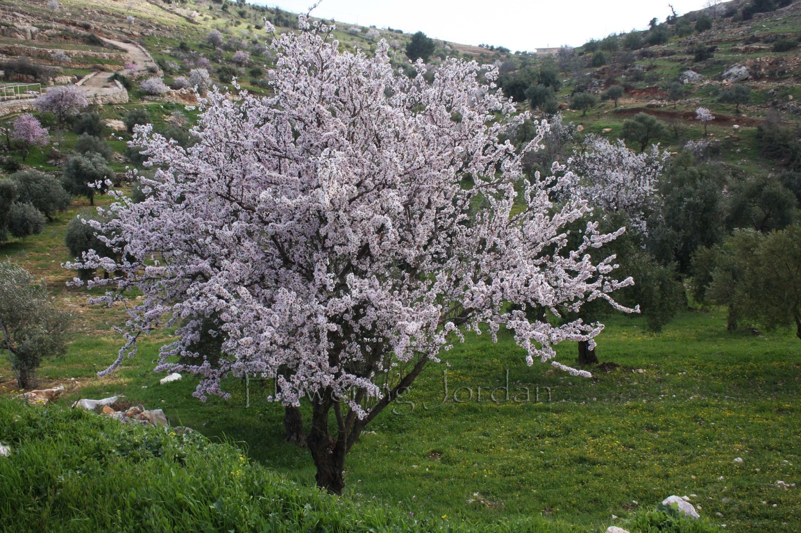 Quotidian Life: Meandering Around the Countryside