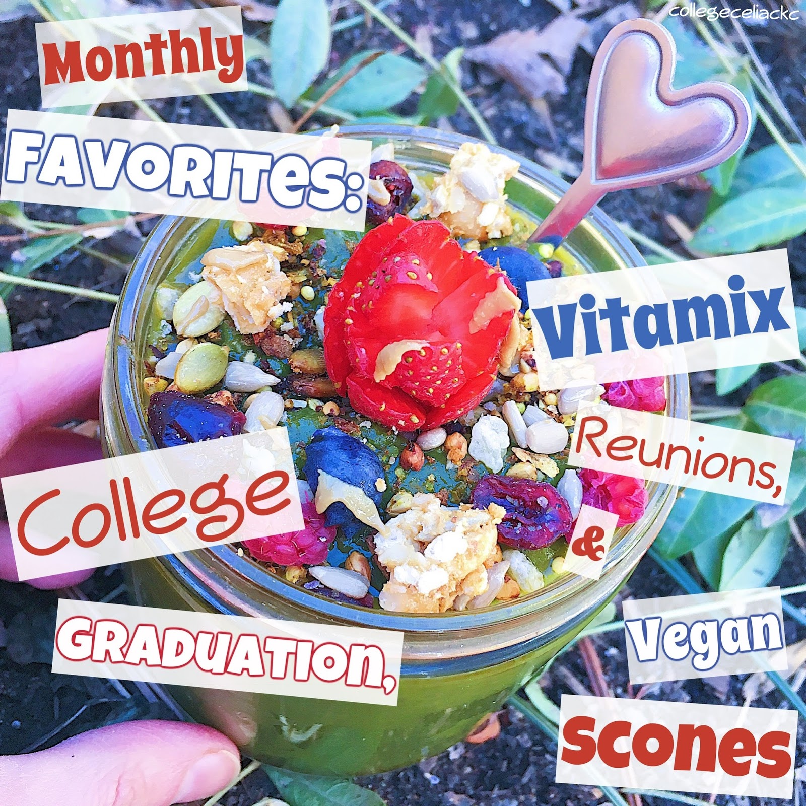 #Glutenfree Monthly Favorites: College Graduation, Vitamix Reunions ...