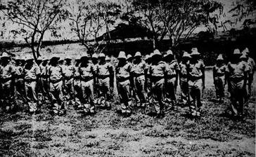 Guerrillas in the Midst: Miscellaneous Groups in Africa