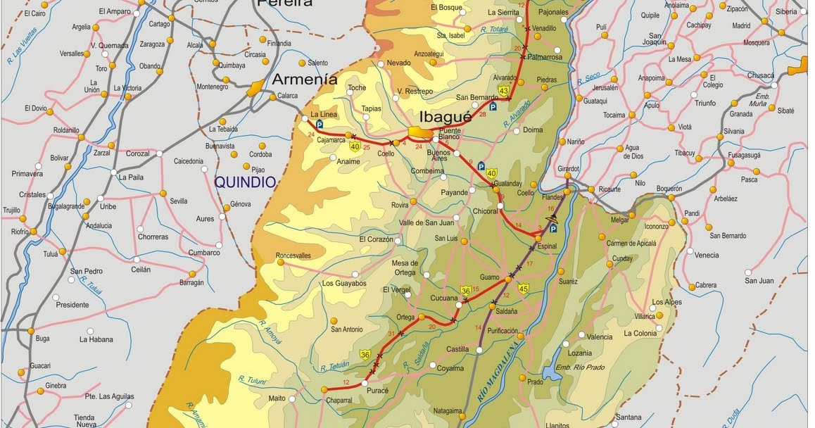 DEPARTAMENTO DEL TOLIMA