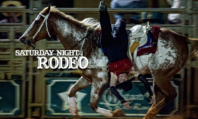 "La Soledad.": No soy vaquera, pero no me ando con rodeos.🐮