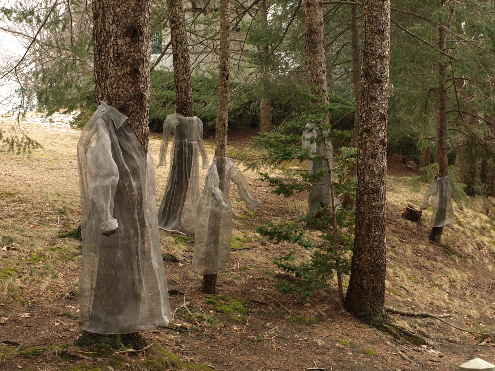picture/day: Cemetery ghosts