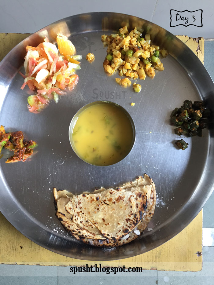 Spusht My Meals For A Month Vegetarian Indian Homemade Food spusht-my-meals-for-a-month-vegetarian-indian-homemade-food
