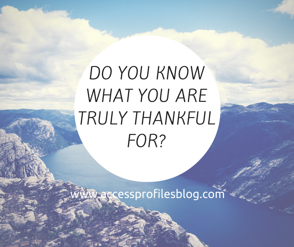 Access Profiles, Inc.: Do You Know What You are Truly Thankful For?