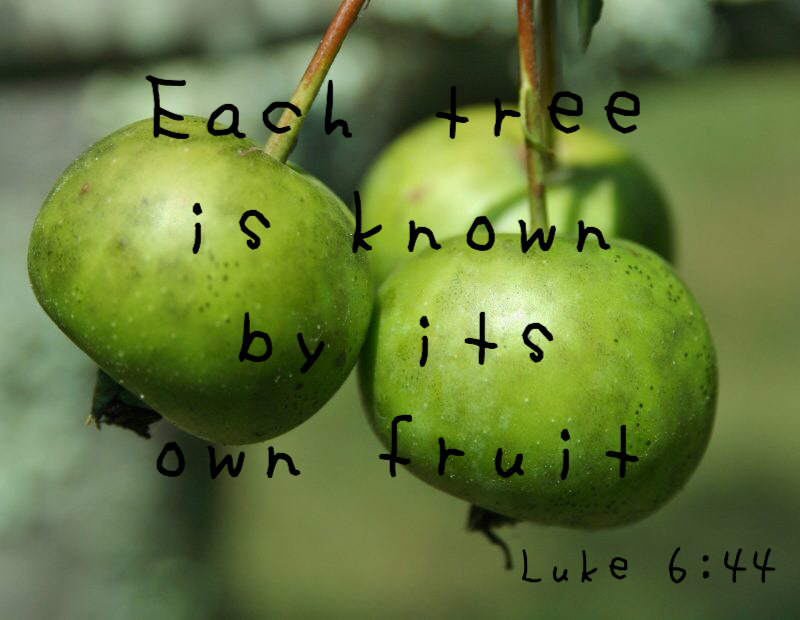 What Fruit Does Your Tree Bear? {Luke 6} - Women in the Word