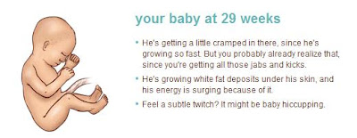 Bergill Baby: 29 Weeks