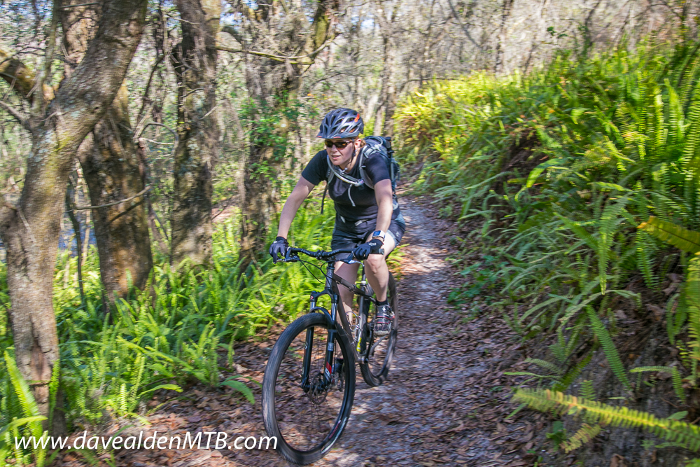 Balm Boyette Scrub Preserve Mountain Bike Trails, Lithia, Florida