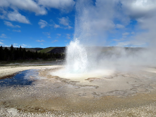 Bezgin Kedinin Gezgin Sahipleri: Yellowstone Vol. II