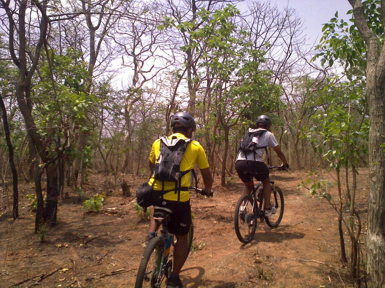 Narsapur Forest – The Monkey Trail – BVCoaching