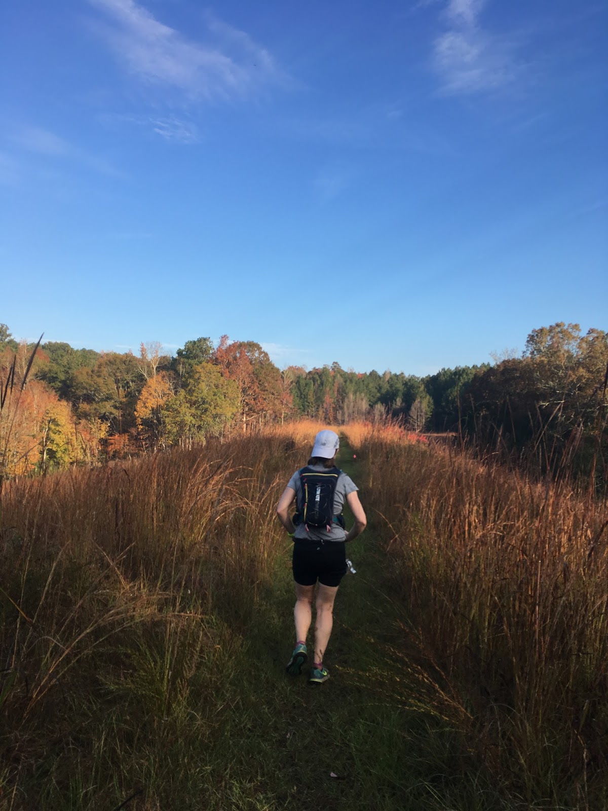 What's Next?: 2017 Pinhoti 100 Race Report