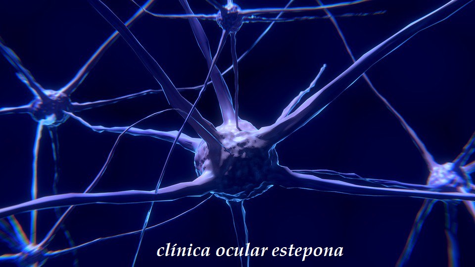 NEUROPROTECCIÓN