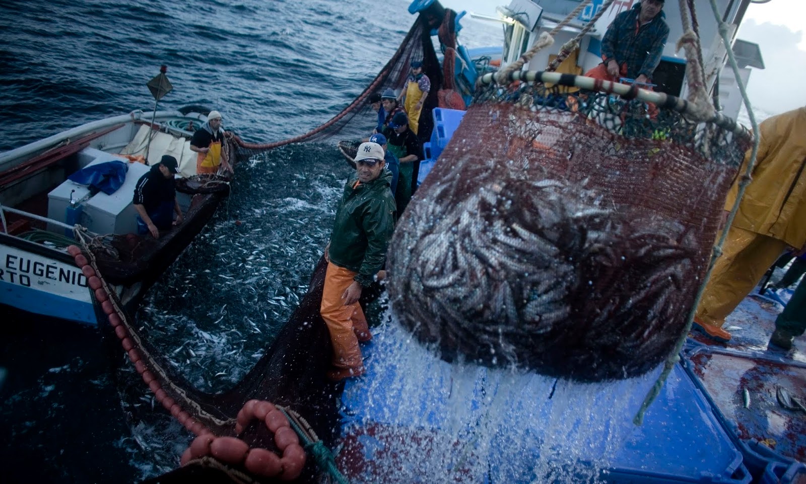 INDUSTRIA PESQUERA EN EL PERÚ ~ EL MUNDO DE LA INDUSTRIA