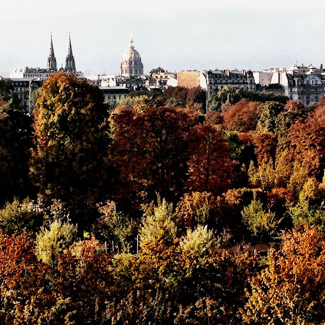 Focus On Paris: Fall foliage