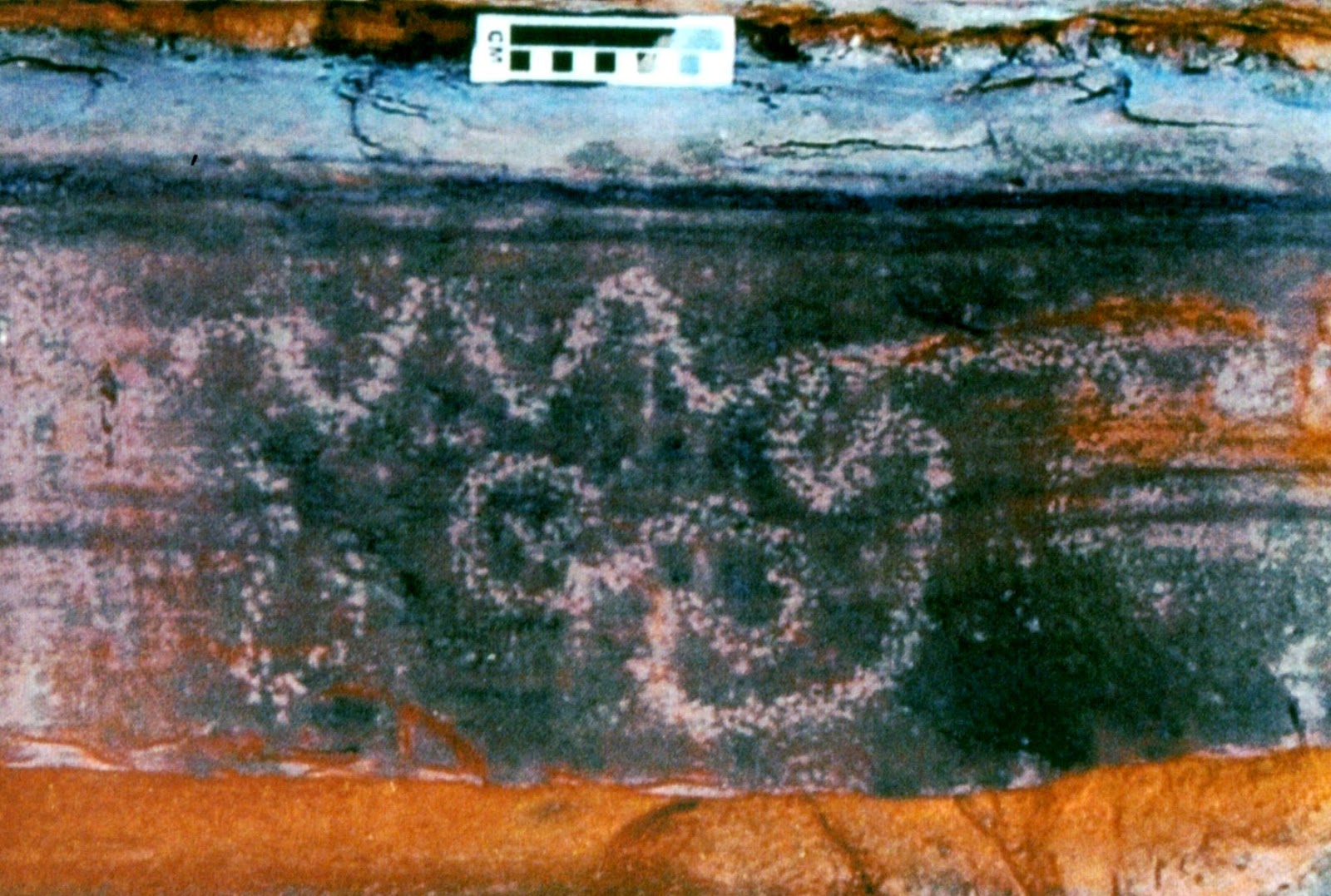 Rock Art Blog: A DINOSAUR TRACK PETROGLYPH: