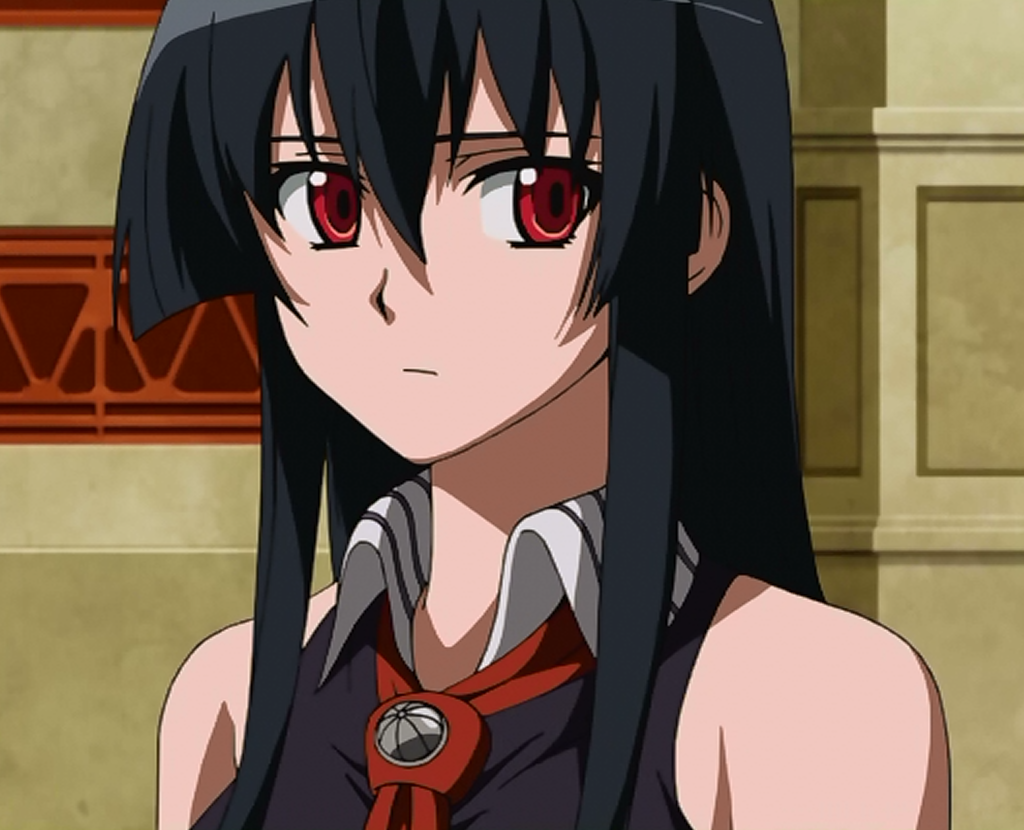 Anime Hotties: Akame