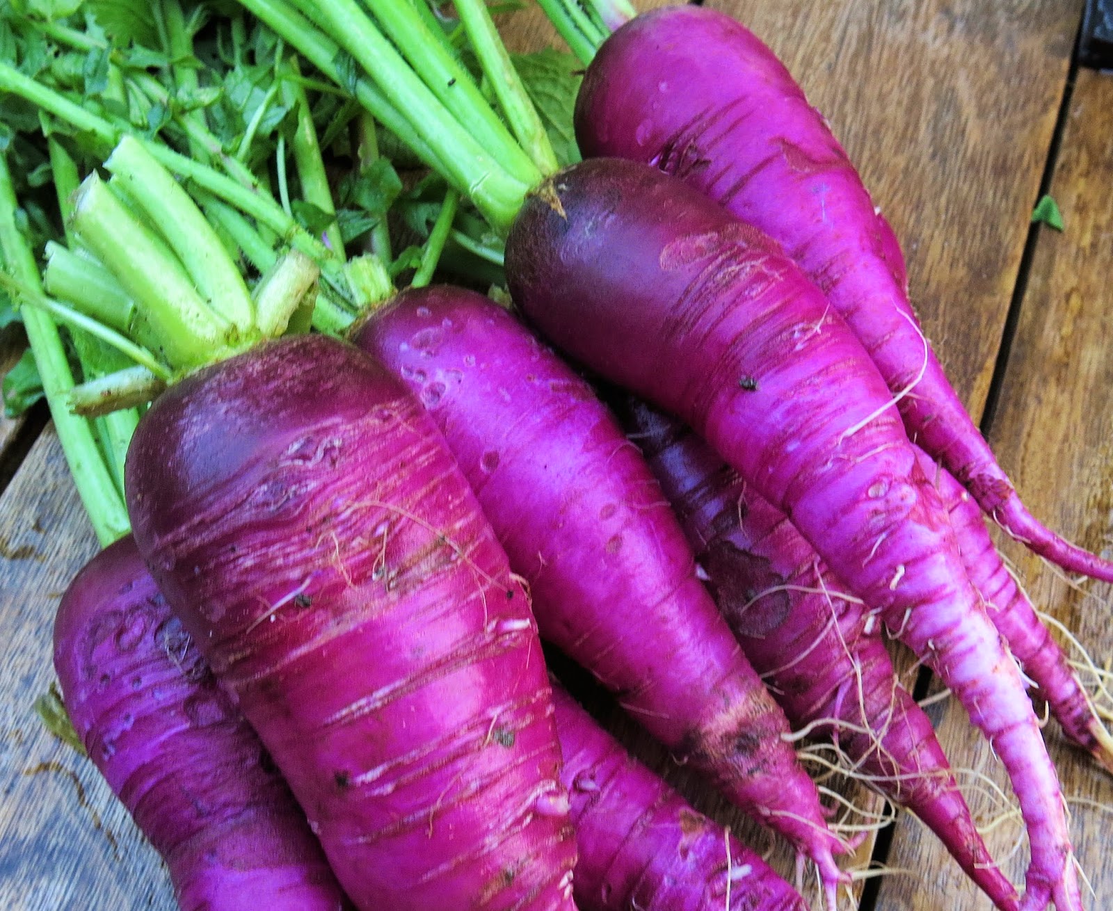 Gourmet Gardening: New for 2015: watermelon radish