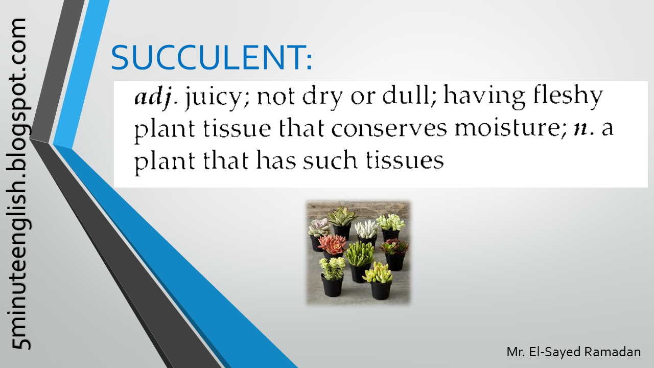 HOLT Elements of Language Vocabulary Workshop FOURTH COURSE Lesson 15