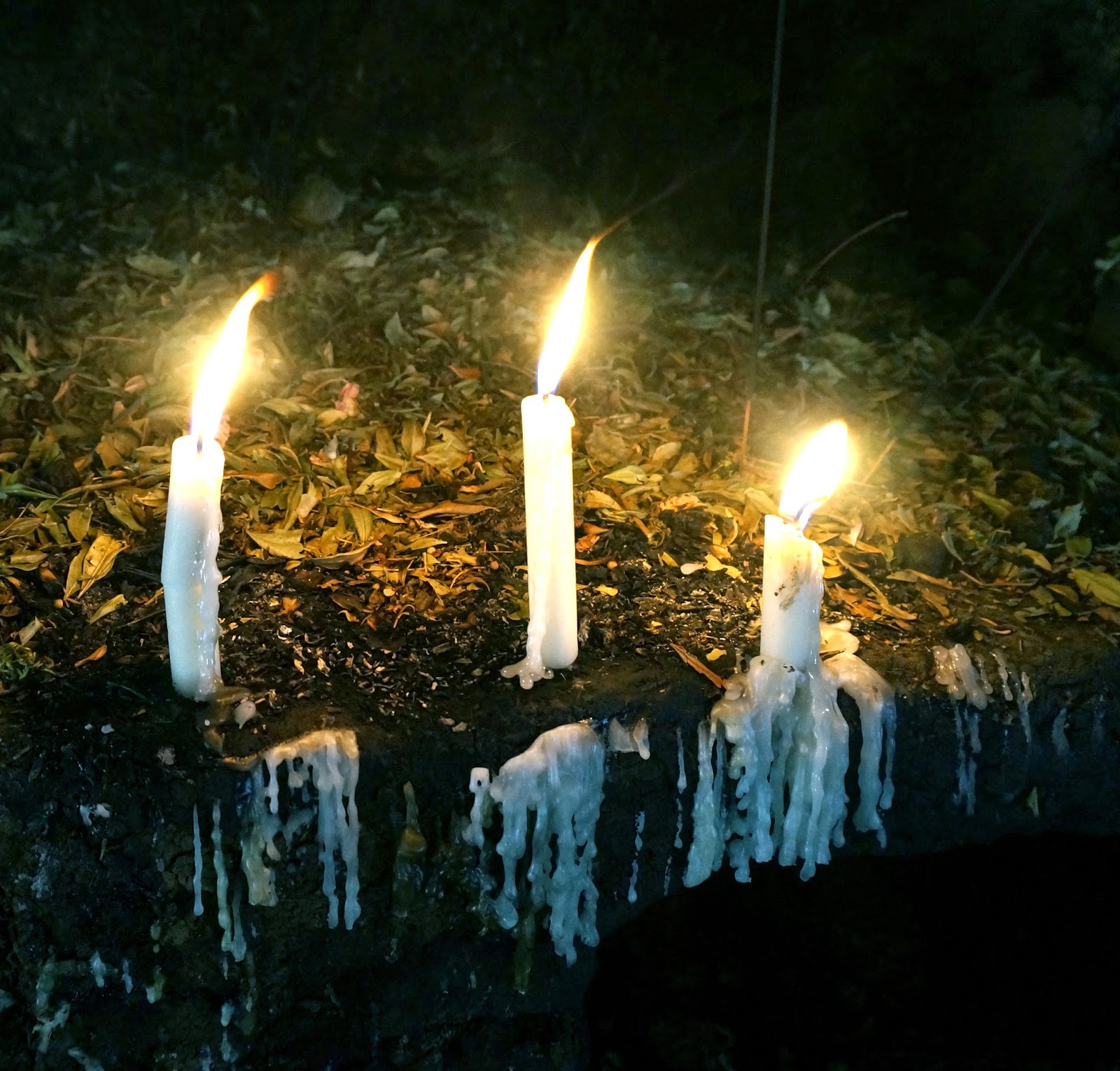 Eshkol HaKofer: Hahiya jat! Lalla ‘Aisha! [She Has Come! Lalla ‘Aisha ...