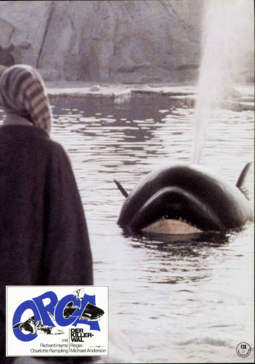 Todo El Terror Del Mundo: Orca, La Ballena Asesina (Orca - The Killer ...