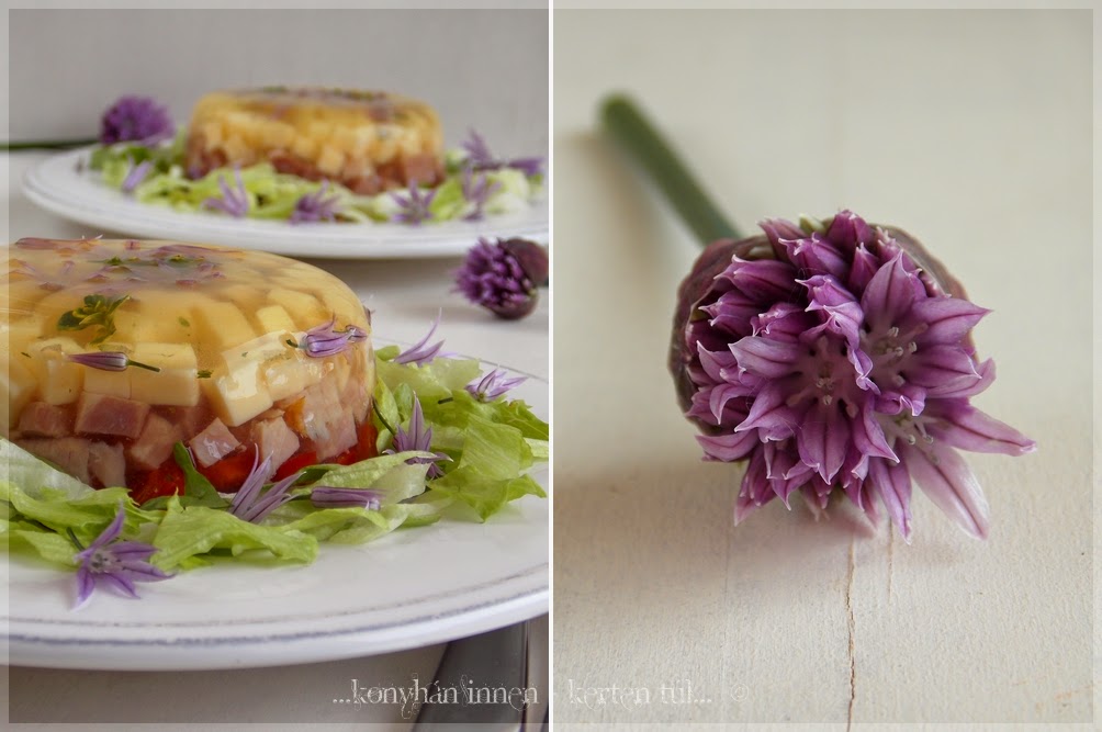 ...konyhán innen - kerten túl...: Sonkás-sajtos aszpik