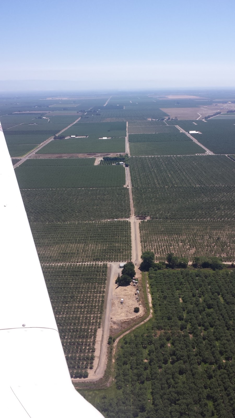 2016 California Almond Harvest is Setting a Record | Big Picture ...