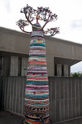 Fresh eyes on London: Giant Baobab Tree