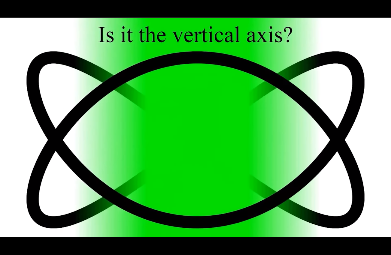 Dual Axis: Find out why People can't Stop Talking about the Best illusion of 2019!