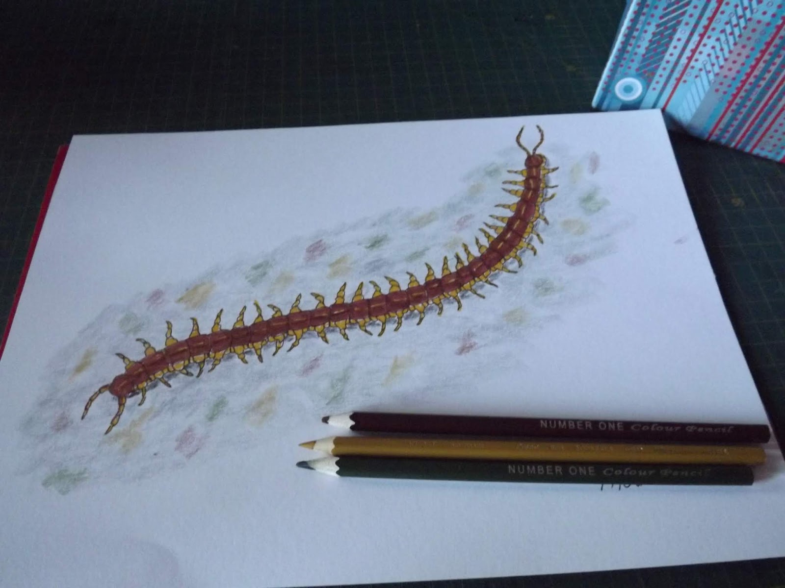 A Pretty Talent Blog: How to draw: A Centipede