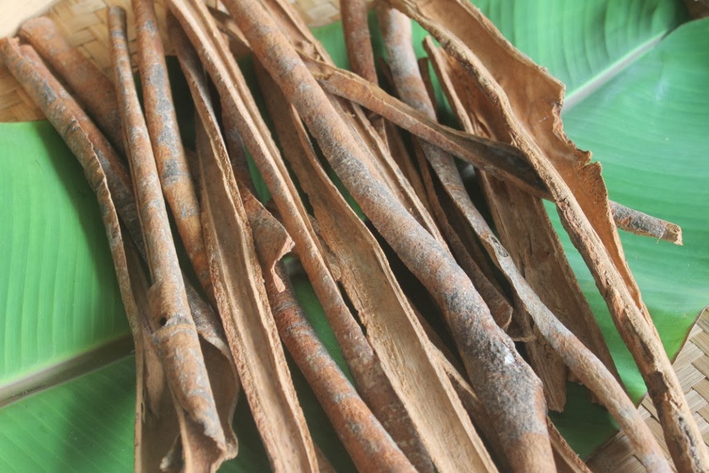 LESSAN Yogyakarta: Simplisia dan Bahan Jamu yang tersedia