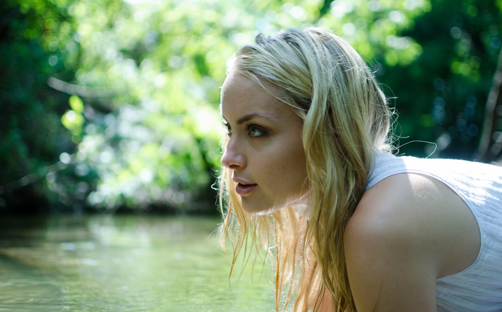 Celebrity: Rachel Skarsten