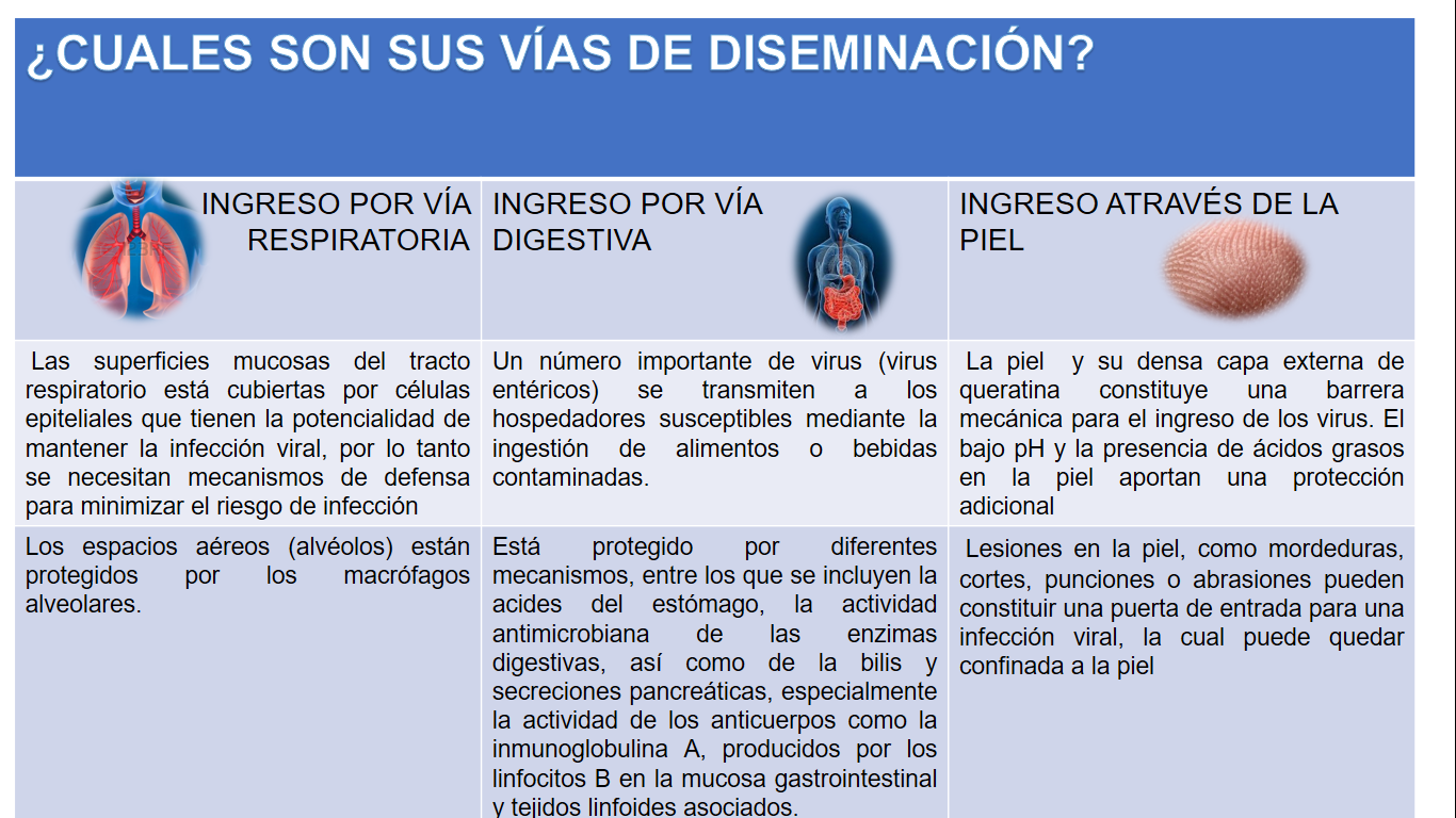 DEFENSA DEL HUÉSPED CONTRA LA INFECCIÓN: 2017-05-21