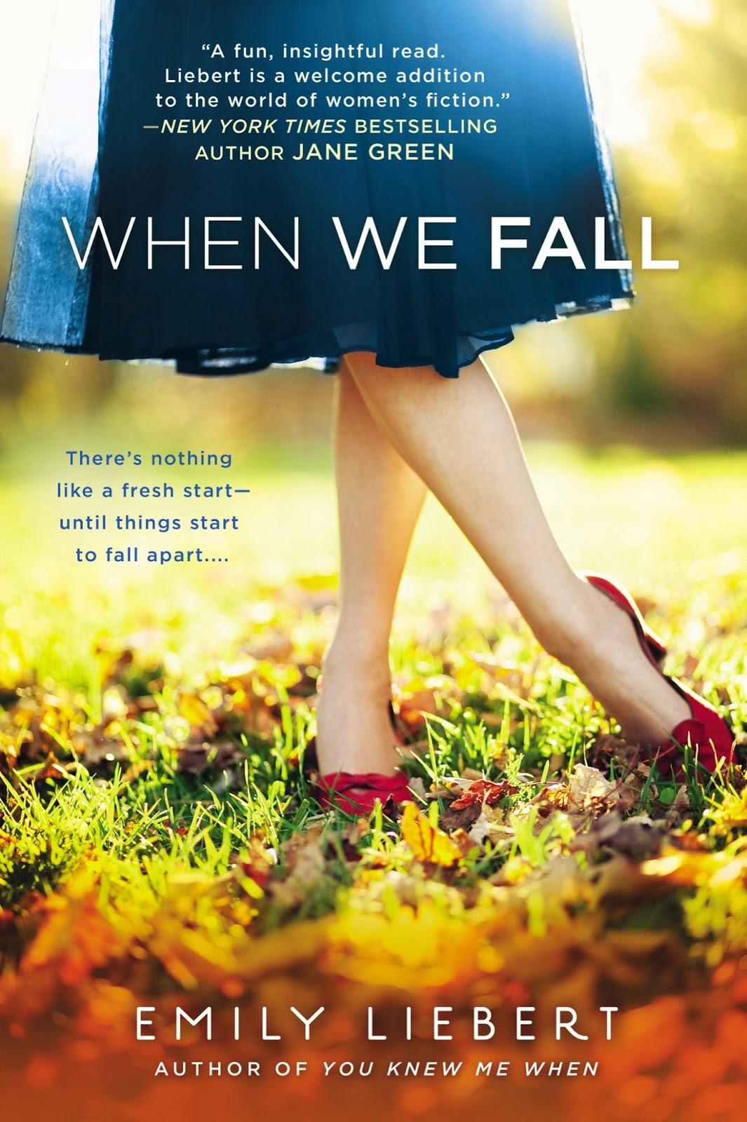 Chick Lit Central: Book Review: When We Fall