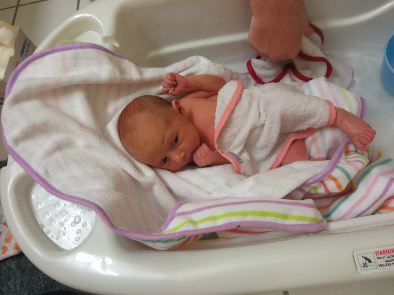 Scrap and Run: Week 2 (1.3)