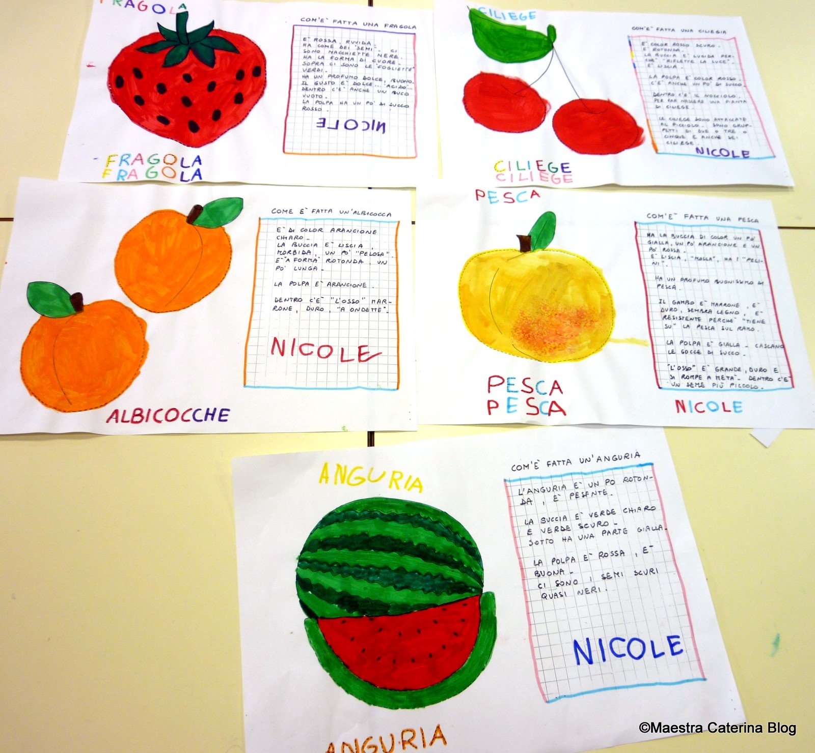 Maestra Caterina: Frutta per tutte le stagioni