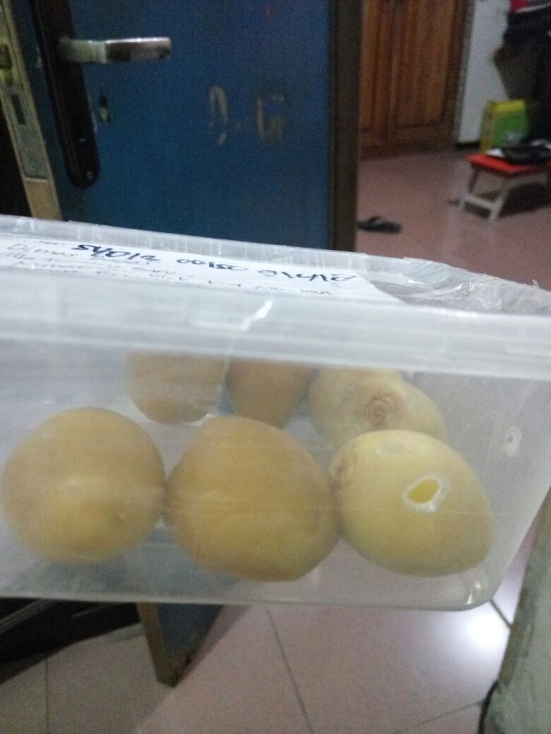 Apa Itu Kurma Muda (Ruthob)