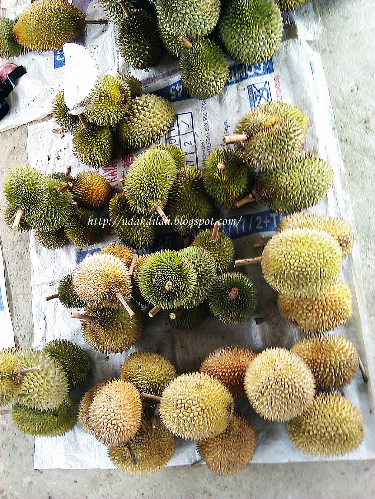BeLoyaR Bersama Udak Dilah: DURIAN ~ Raja Buah di Beluru