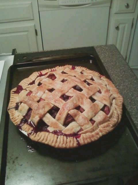 Spontaneous Photos (AMPERSAND) Word Vomit: Another Homemade Pie