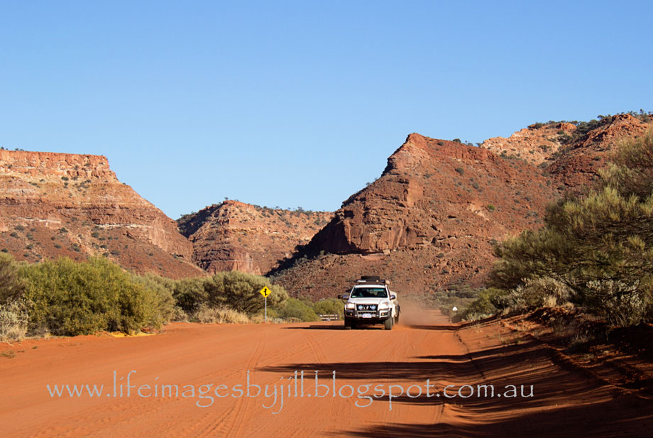 Life Images by Jill: Kennedy Ranges, Western Australia