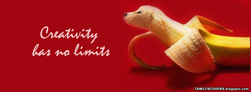 My India FB Covers: Creativity has no limits - Miscellaneous FB Cover