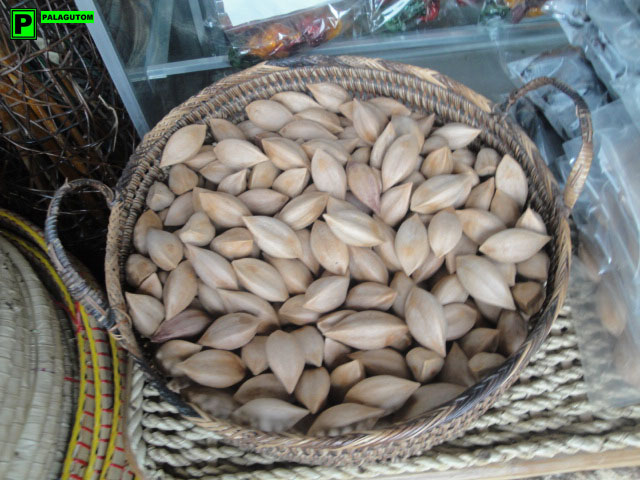 [Legazpi] Pili Nuts: The Ultimate Bicol Nuts - PALAGUTOM