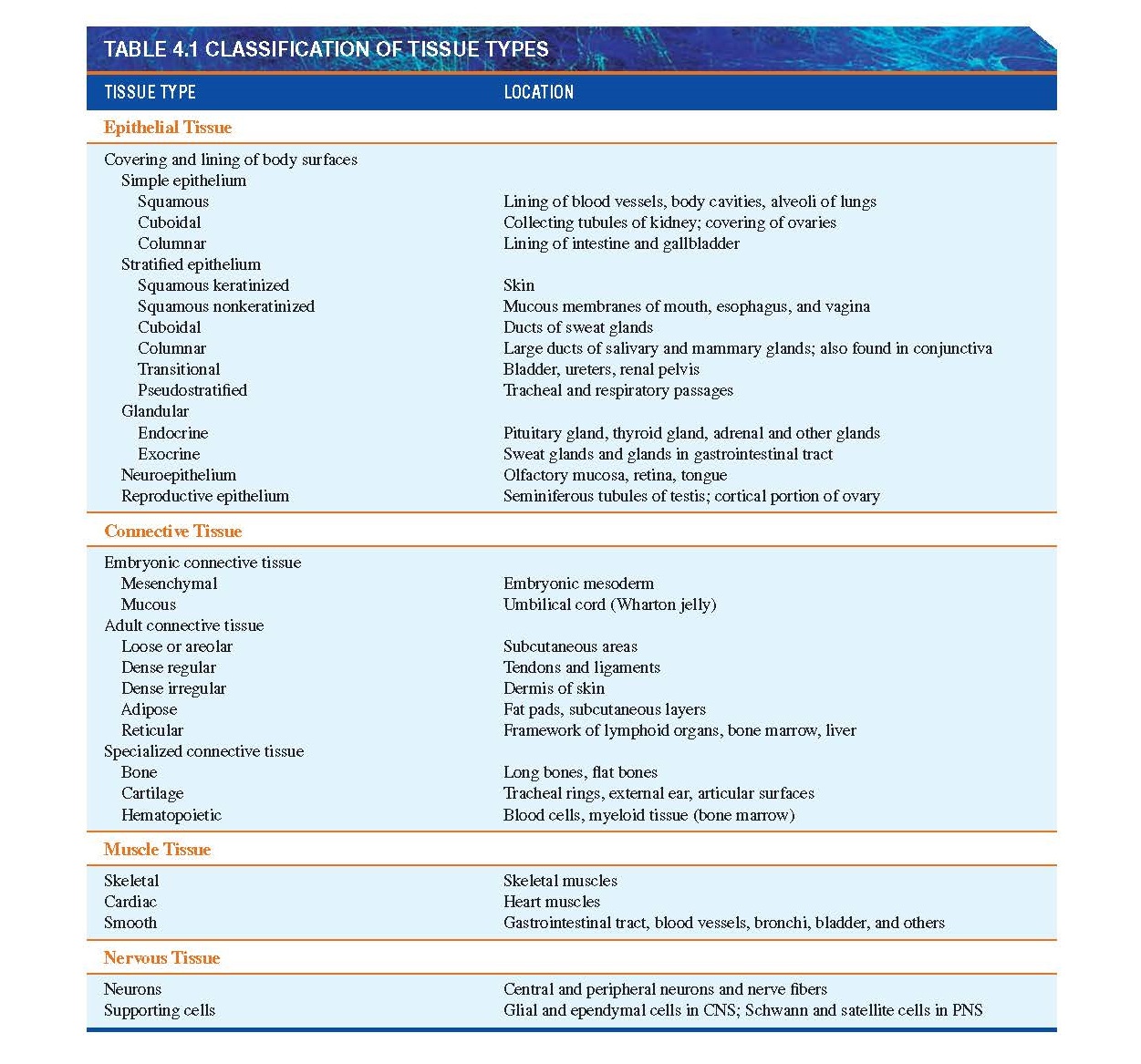Embryonic Origin of Tissue Types - pediagenosis
