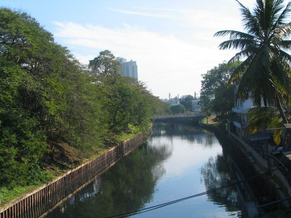 F's Place: The Wella that was