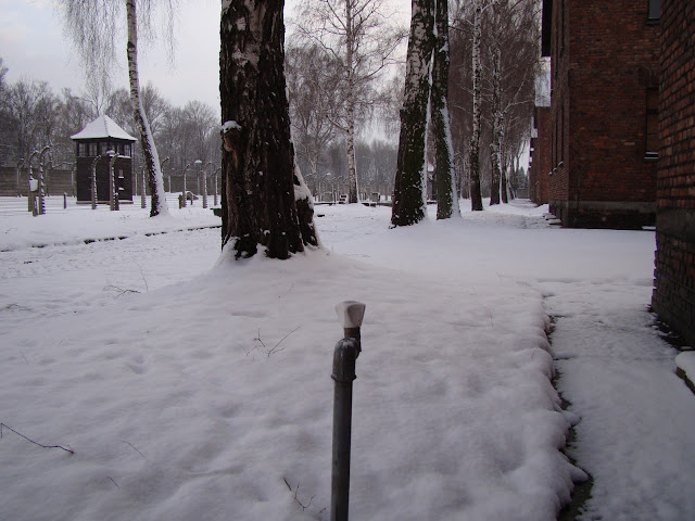 Auschwitz 2012: Auschwitz 1: The Swimming Pool